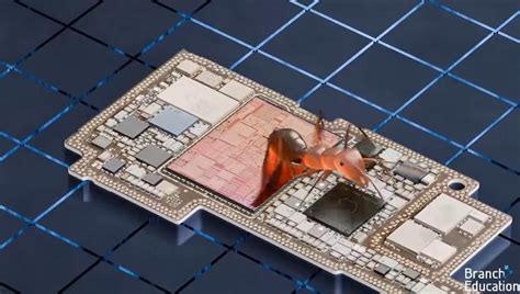 How Are Microchips Made Community The Newstalkers