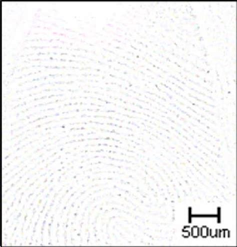 Figure 2 From Forensic Fingerprint Enhancement Using Bioadhesive Chitosan And Gold Nanoparticles