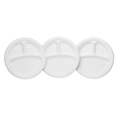 White 3 Compartment Paper Plates Recyclable 9 Inch Paper Plates