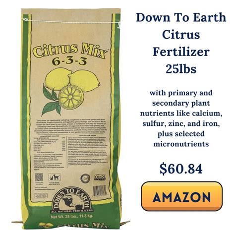 Best Citrus Tree Fertilizer What When And How To Use It All Roads