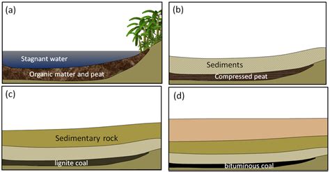 203 Fossil Fuels Physical Geology