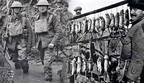 Trench Warfare In World War I Rot Rats Ruin TheCollector