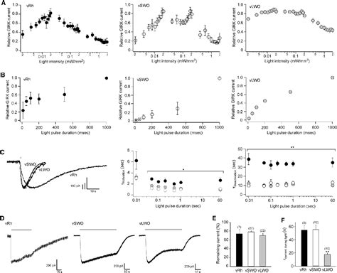 Figure 2 From Vertebrate Cone Opsins Enable Sustained And Highly Sensitive Rapid Control Of Gio