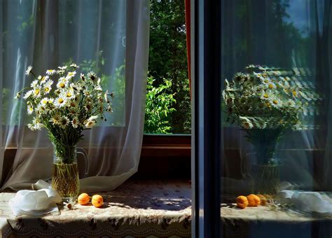 Солнышко в окошке картинки 62 фото