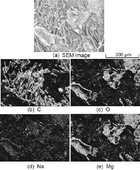 Surface Analysis Of New Structure Cathode After Discharge Test By Edax