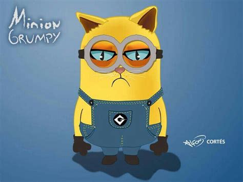 Grumpy Cat Minion Grumpy Cat Grumpy Cat Humor Minions Funny
