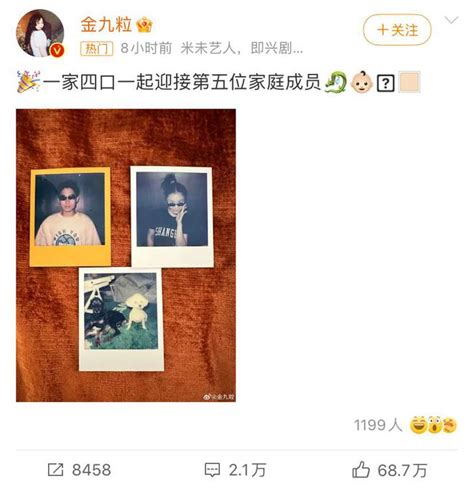 金靖怀孕后独自亮相机场 素颜打扮显孕相不矫情——上海热线娱乐频道