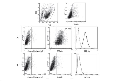 Representative Flow Cytometry Analysis Of Ffe Ab Binding To Huvec