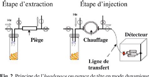 Figure 2 From Headspace Hs Et Micro Extraction En Phase Solide Spme Théorie Et Applications