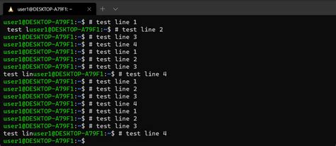 Cant Echo Correctly When Pasting Multiple Lines To Wsl 2 · Issue 6510