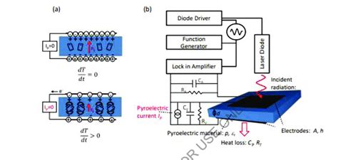 51 Effect For A Material With A Given Spontaneous Polarization
