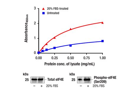 Pathscan® Rp Phospho Eif4e Ser209 Sandwich Elisa Kit Cell Signaling