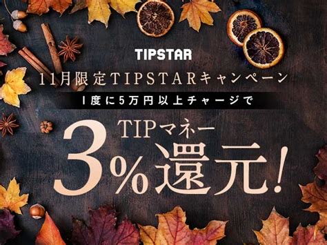 11月限定tipマネー還元キャンペーン！1度に5万円以上のチャージで3のtipマネーを還元！ お知らせ Netkeirin（ネットケイリン）