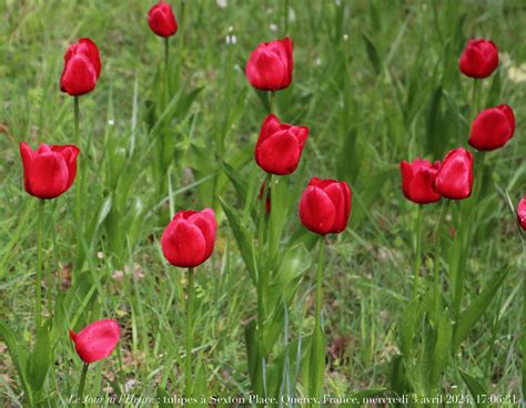 Renaud Camus Photothèque Plickr