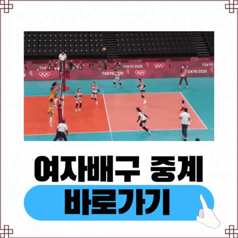 여자배구 중계