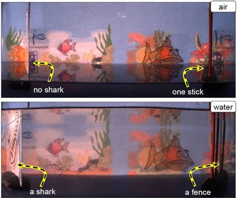 Flat Refractive Geometry Research Yoav Schechner