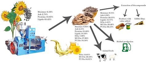 Market InsightsSunflower Oil Mill Setup Opportunities