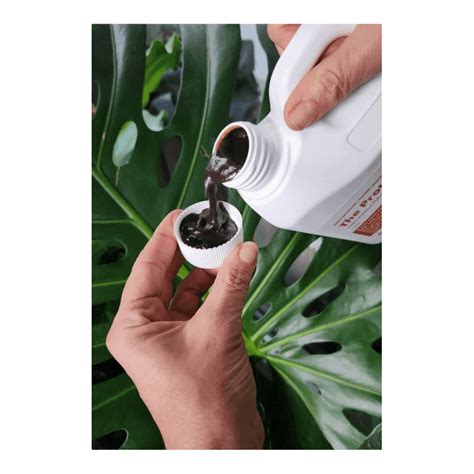 Organic Fertilisers And Sustainable Farming Soil Dynamics