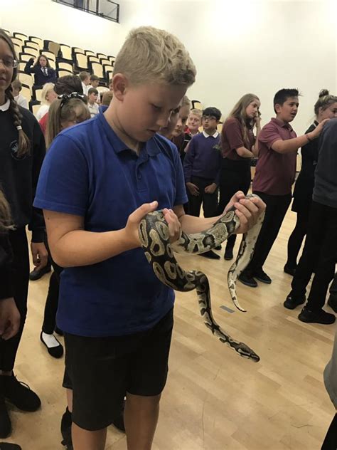 Pictures Of Rose Caton