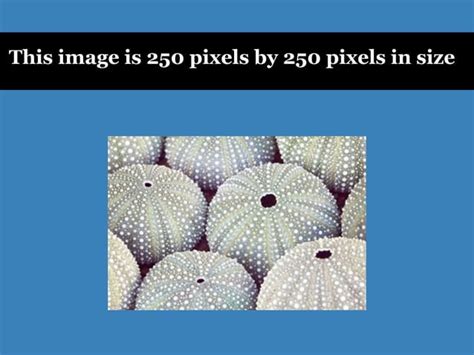 Bitmap And Vector Images Make Sure You Know The Differences Pdf