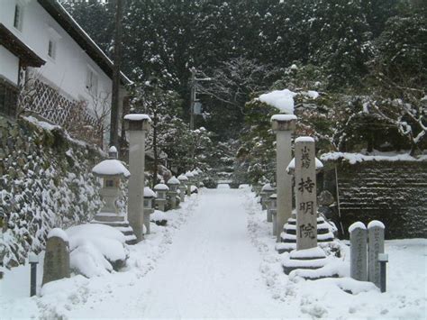 奥の院への道 その1 ヤスコヴィッチのぽれぽれBLOG