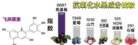 超级水果马基莓 江苏省药理学会官网