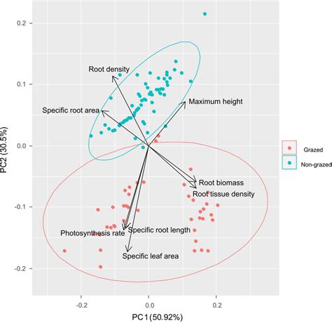 Principal Component Analysis Of Belowground Root Density Root