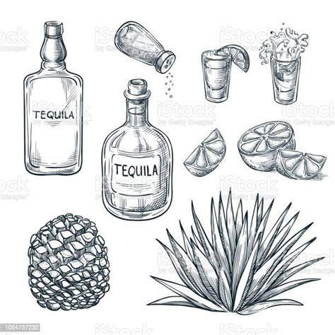 데 킬 라 병 유리 및 재료 벡터 스케치 촬영 멕시코 알코올 음료입니다 용 설 란 식물 그리고 루트입니다 데킬라 독한 술에 대한 스톡 벡터 아트 및 기타 이미지 Istock