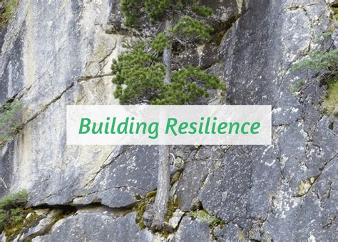 How To Build Resilience Work Well Practice