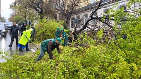 Более 70 деревьев пострадали в результате разгула стихии в столице Азербайджана Media Az