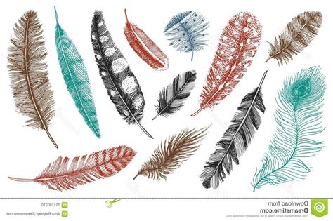 Bird Feather Sketch At Explore Collection Of Bird