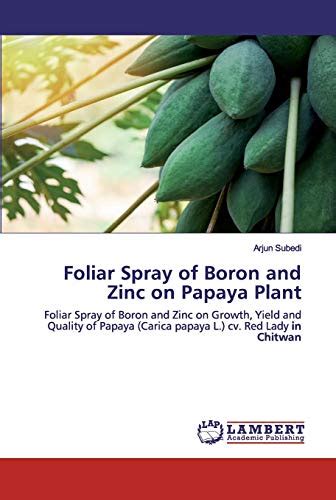 Foliar Spray Of Boron And Zinc On Papaya Plant Foliar Spray Of Boron