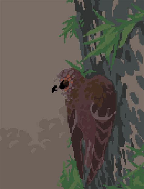 Pixilart Great Dusky Swift By Zen Thy