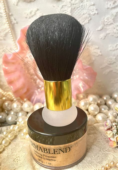 Stubby Face Powder Brush New Old Stock Dermablend Professional Makeup Brush Etsy
