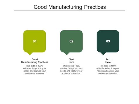 Good Manufacturing Practices Ppt Powerpoint Presentation Summary