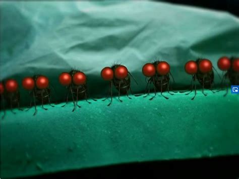 Minuscule Convenience Store Products Ladybug Convenience Store