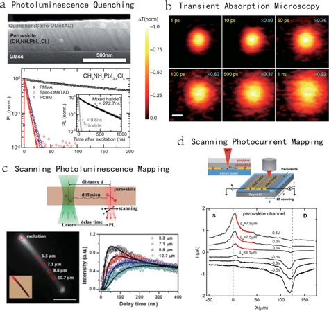 A Photoluminescence Quenching Method Top Panel Cross‐sectional Sem Download Scientific