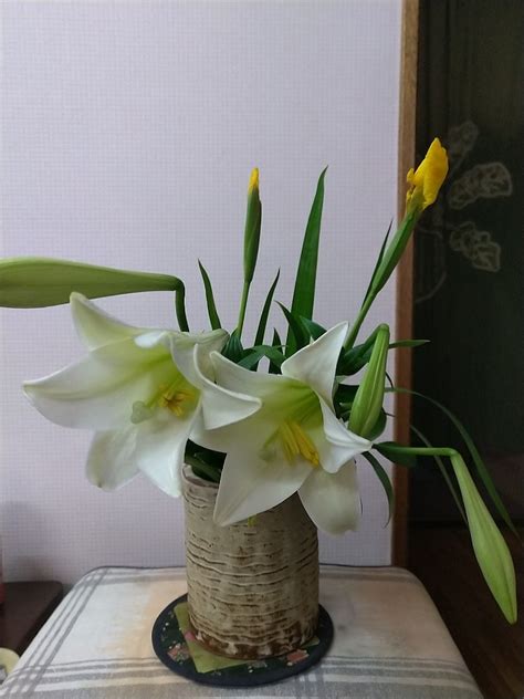 雨の降る日に つぶやき