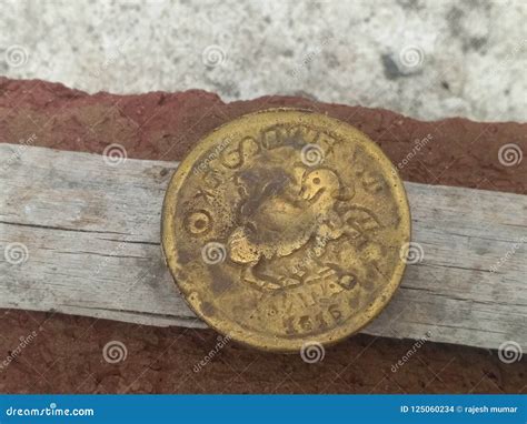 Rare Rarest Stock Photo Image Of Rare Rarest Discription 125060234
