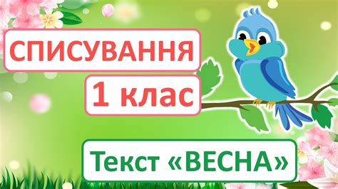 Списування 1 клас Текст Весна Українська мова Youtube