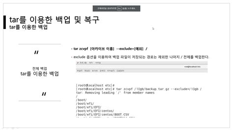 09 데이터 백업 및 복구