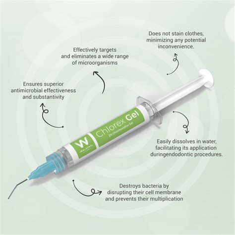 Waldent Chlorex 2 Chlorhexidine Gel