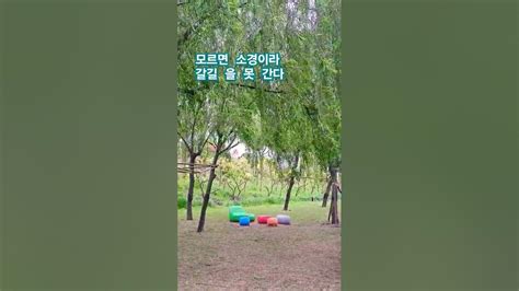 바람이 불어 오는 곳 그곳으로 가네 휴식 힐링 자연 좋은글귀 정명석 Youtube