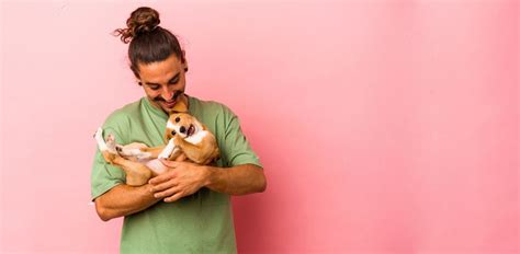 How To Cure Fading Kitten Syndrome The Vets
