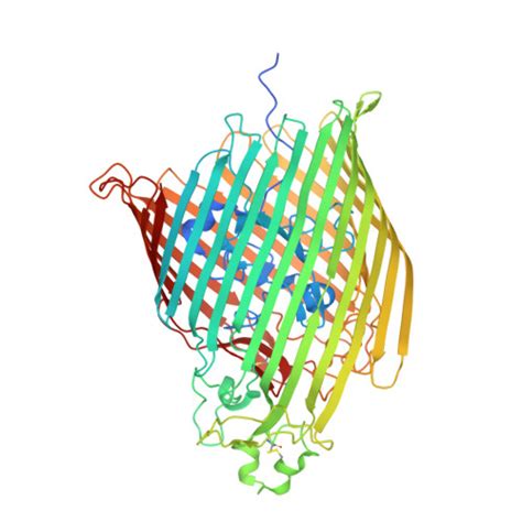 Rcsb Pdb 8a60 Crystal Structure Of Fhua In Complex With The