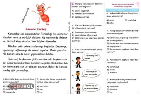 Sınıf Okuma Anlama Eduhol Etkinlik İndir Oyun Oyna Test Çöz Video İzle