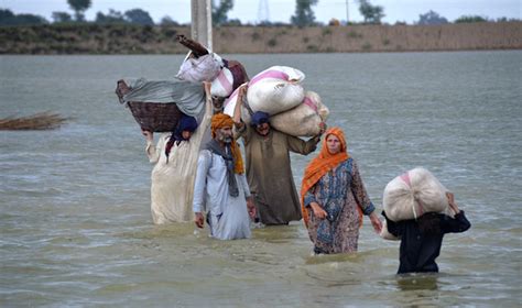 No Immediate Food Security Challenge For Pakistan Despite Floods