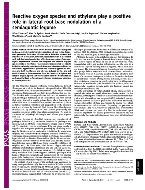 Pdf Reactive Oxygen Species And Ethylene Play A Positive Role In Lateral Root Base Nodulation