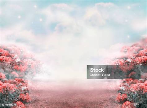 장미 꽃 밭과 동화 같은 숲으로 이어지는 안개 낀 경로와 판타지 여름 사진 배경 목가적 인 조용한 아침 장면 도로는 언덕 빈 복사 공간을 가로 질러 간다 파스텔 색상으로 톤