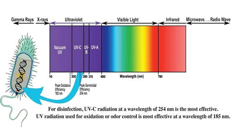 Ultraviolet Radiation Diagram